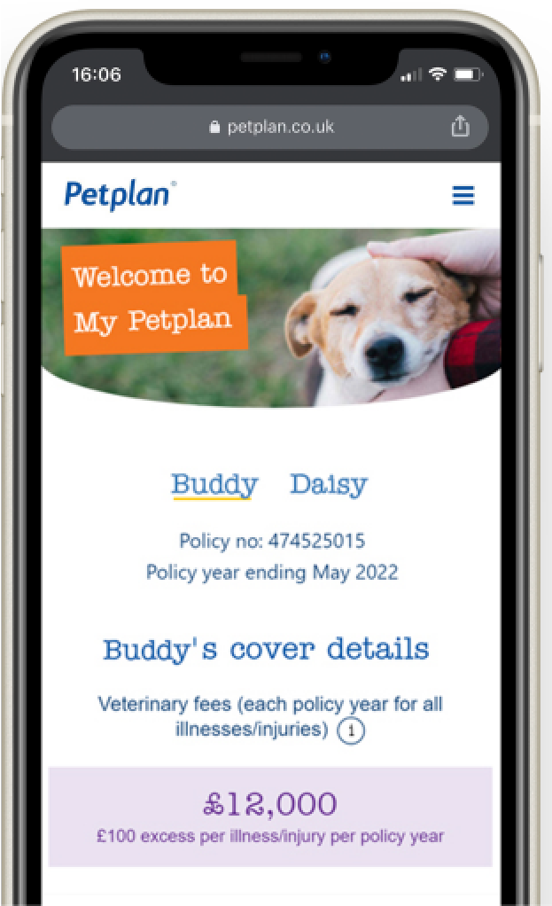 Dog Insurance | Dog Insurance Quotes | Pets at Home